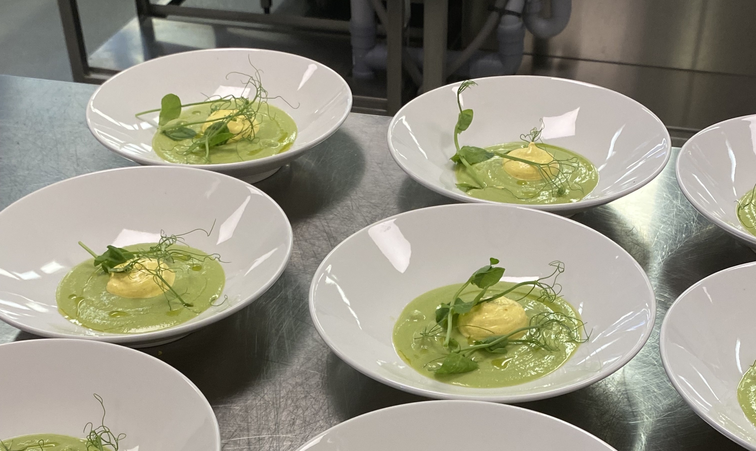 Home - Sustainable Food Transition